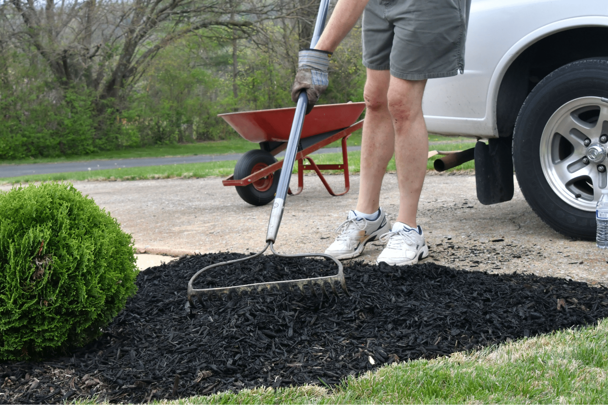 Efficient Landscaping Solutions: 10 Tips for Success