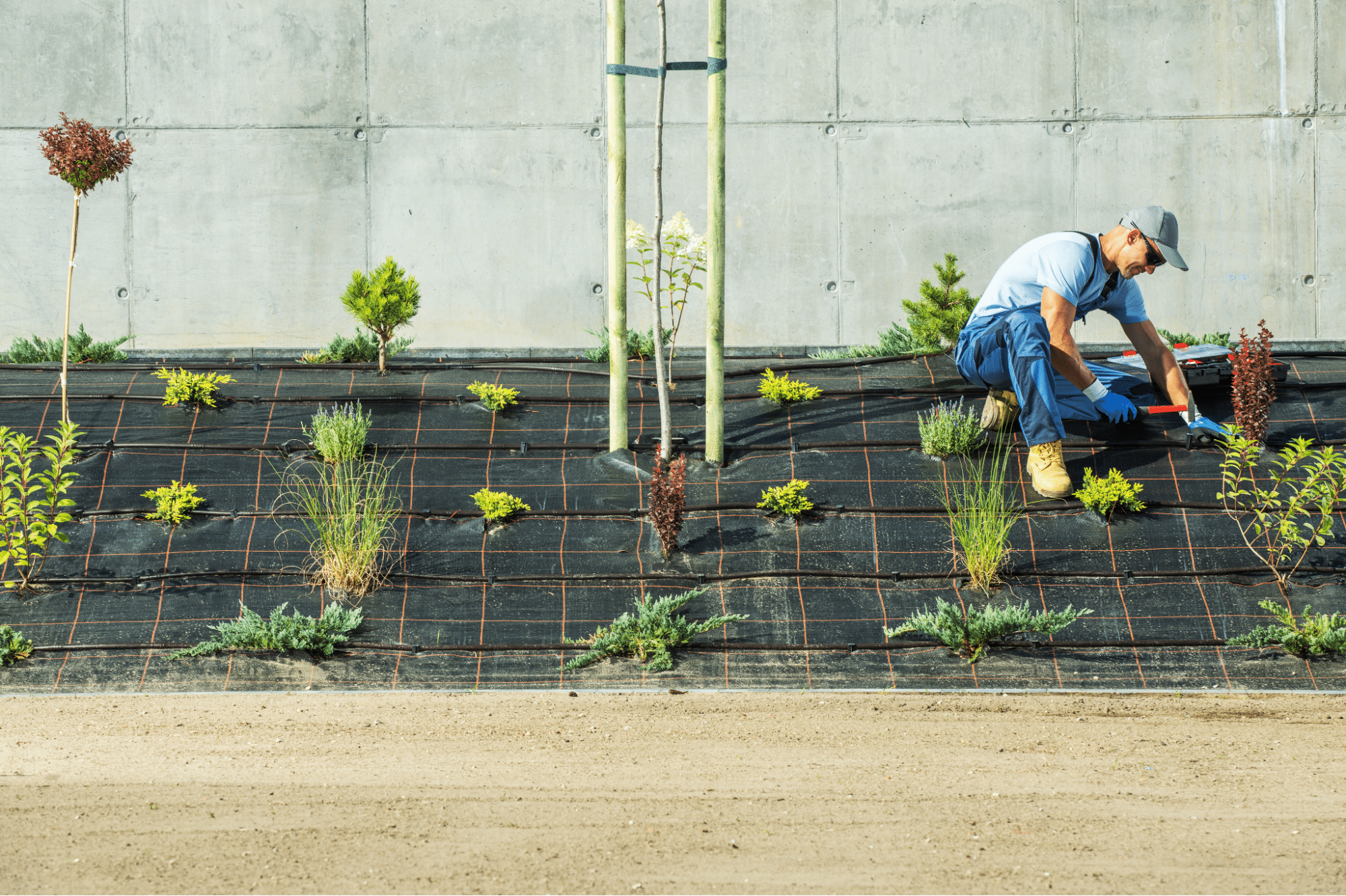 Top Profitable Landscaping Services for Business Growth